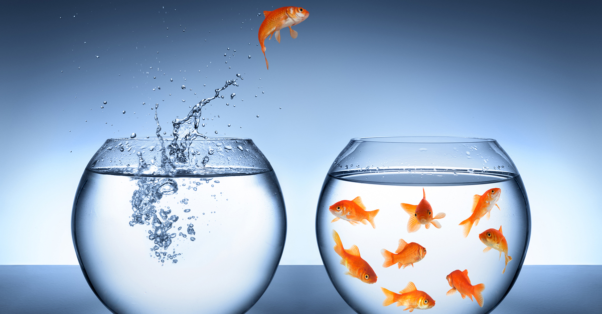 Navigating Shark-Infested Waters: Delivering Difficult Research Findings